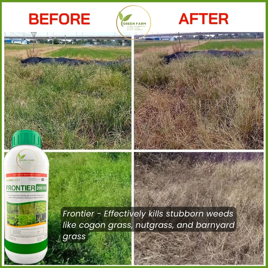 FRONTIER 200 OD Herbicide 1 Liter - Organic Pesticide For Vegetables ...