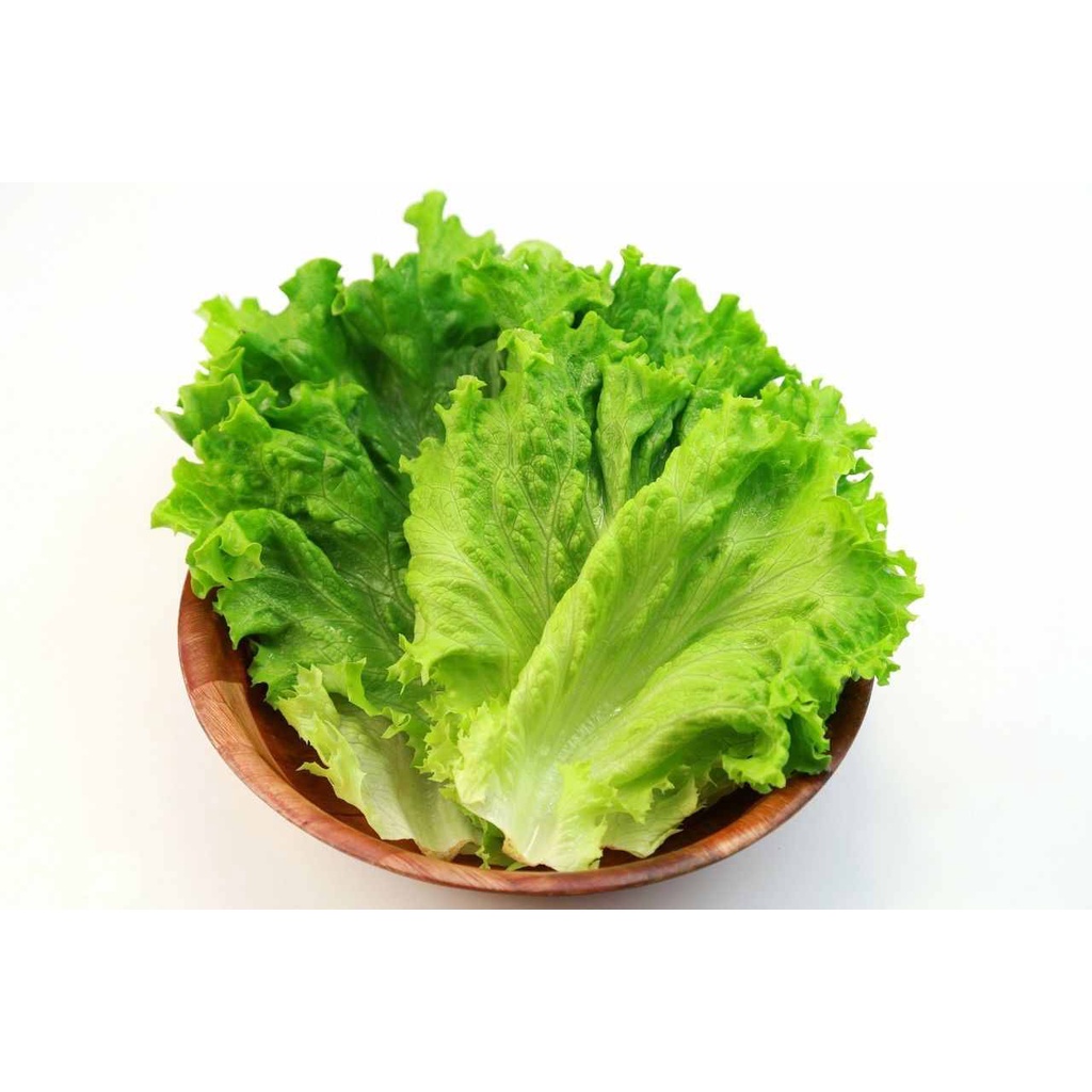 Lettuce Seeds - (1000Seeds/Pack)Ramgo Lettuce Lollo Bionda Seeds ...