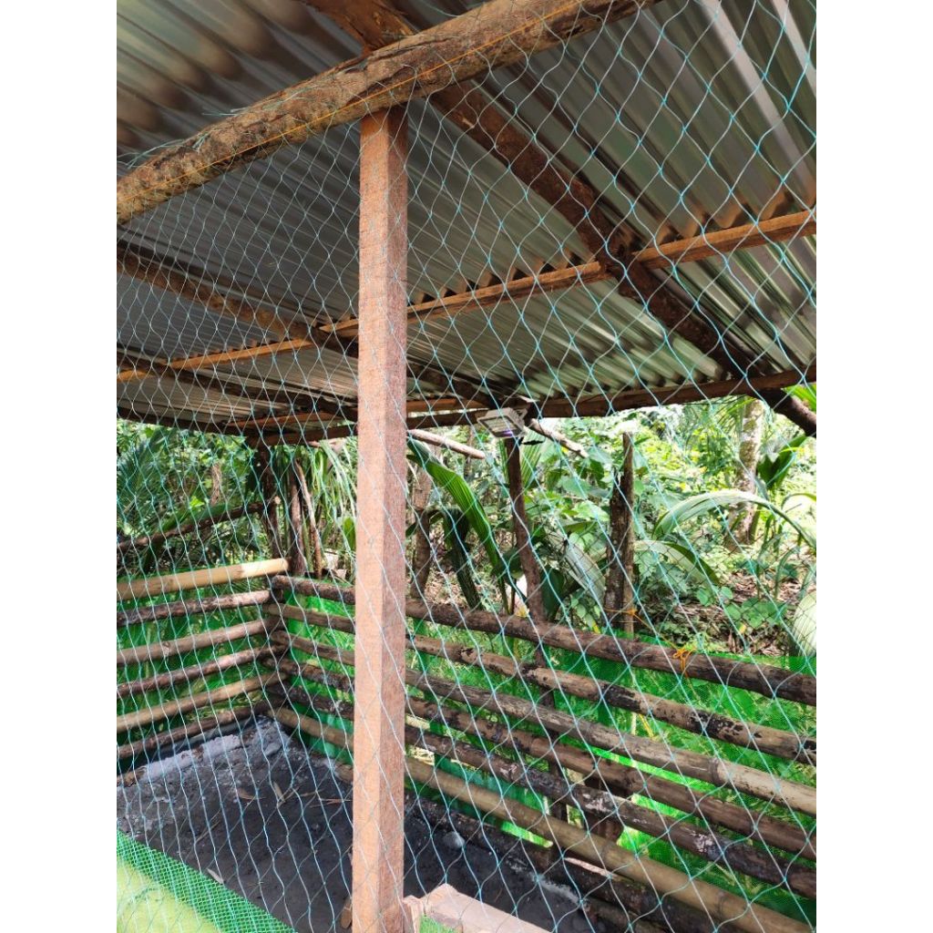 Free Rope Chicken Net 20m/50m/100m 7ft Fishing Net Range Net Lambat ...