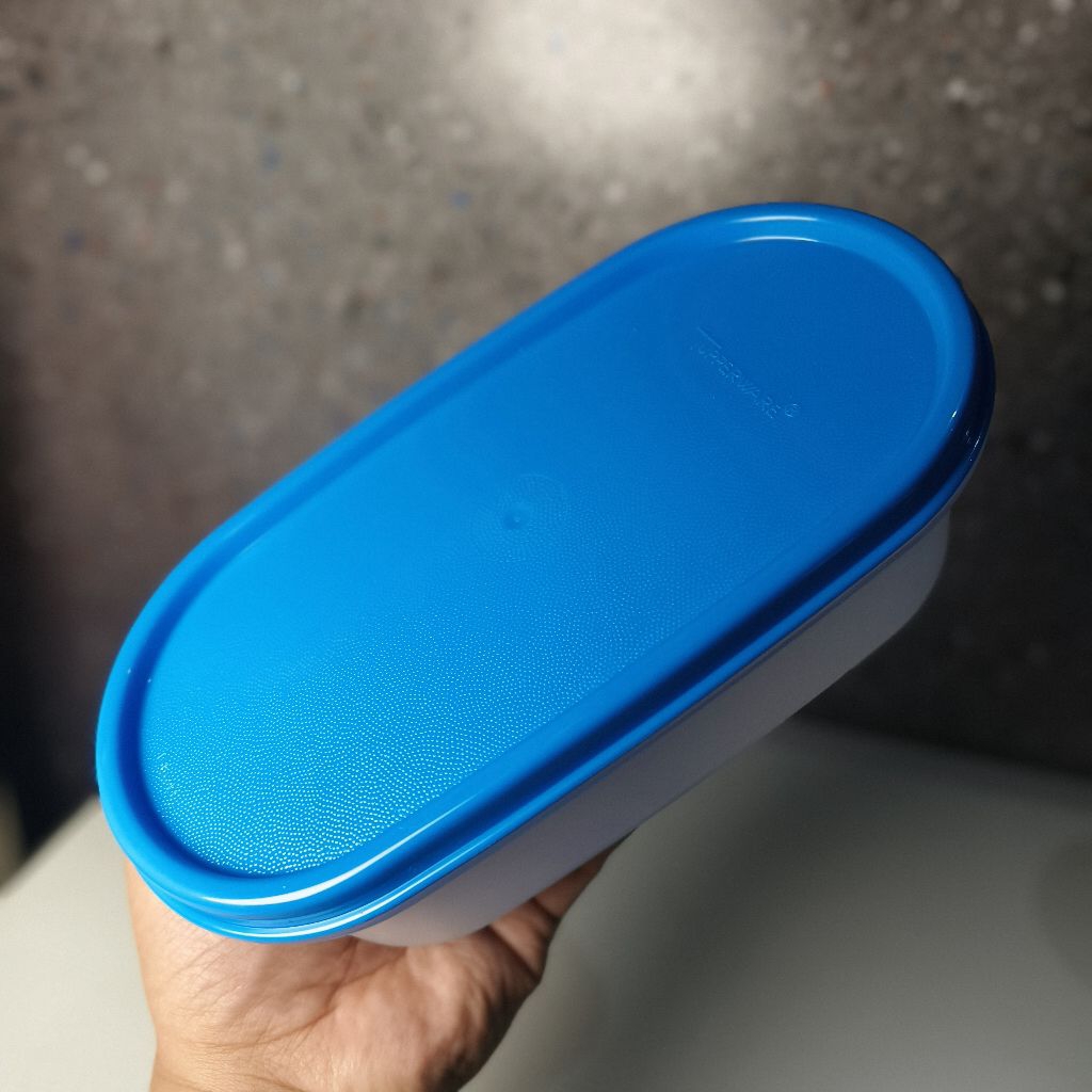 Tupperware Oval Smart Saver (sold per piece) | Shopee Philippines