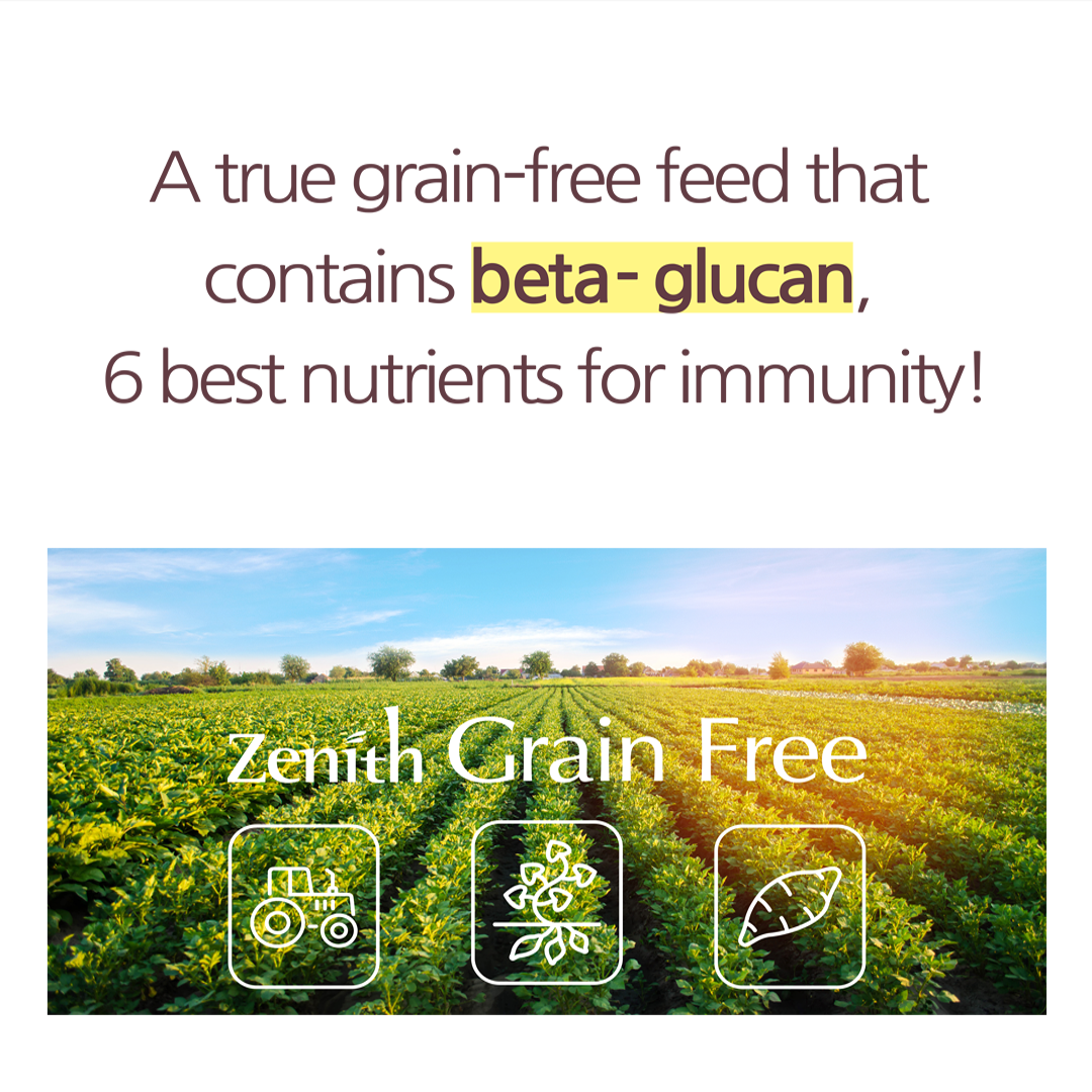 Zenith Grain-Free Soft Moist Dog Food Lamb Meat & Potato (Adult) 500g ...