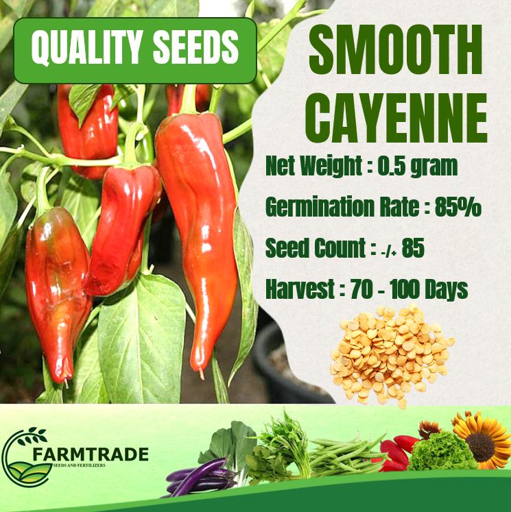 Smooth Cayenne Pepper Seeds for Garden Planting - 85 seeds High Quality ...