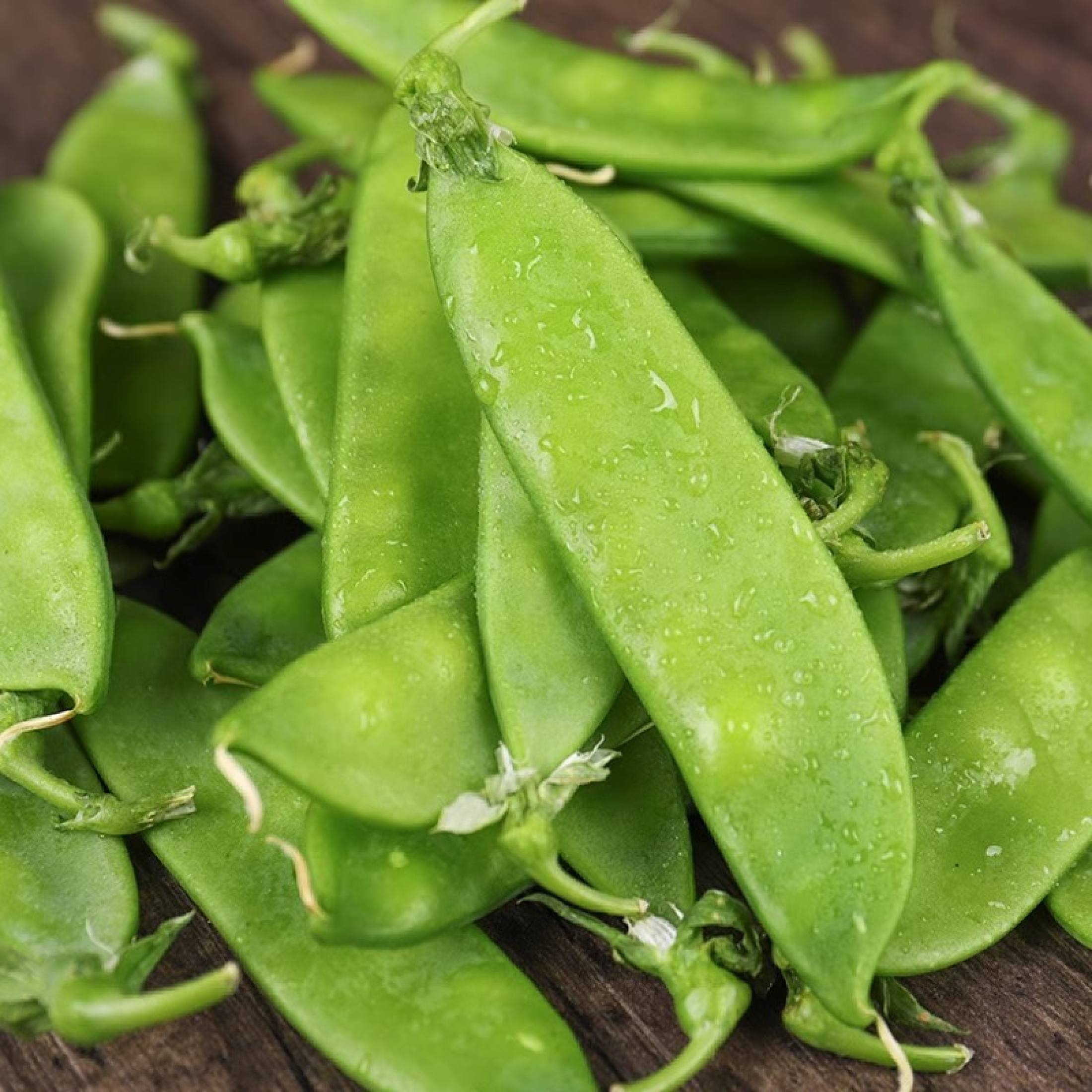 SNOW PEA - ( 20 seeds ) Sitsaro / Chinese Pea / Snow Peas Vegetable ...