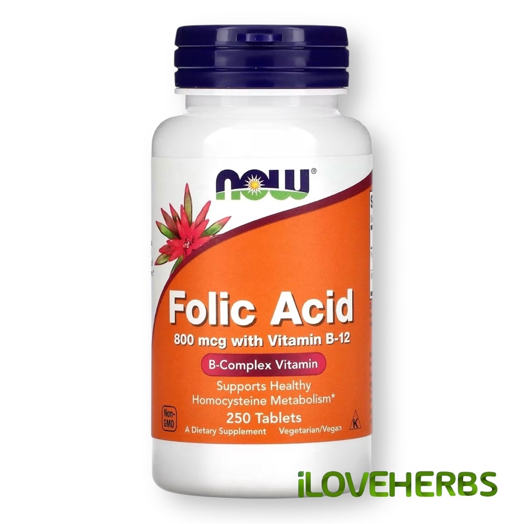 NOW Foods, Folic Acid, 800 mcg, 250 Tablets | Shopee Philippines