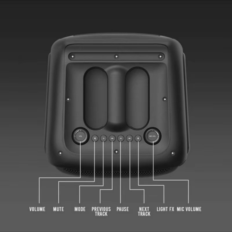 Brodu BTS-1740 Bluetooth Speaker Karaoke Speaker with 2 Microphones ...