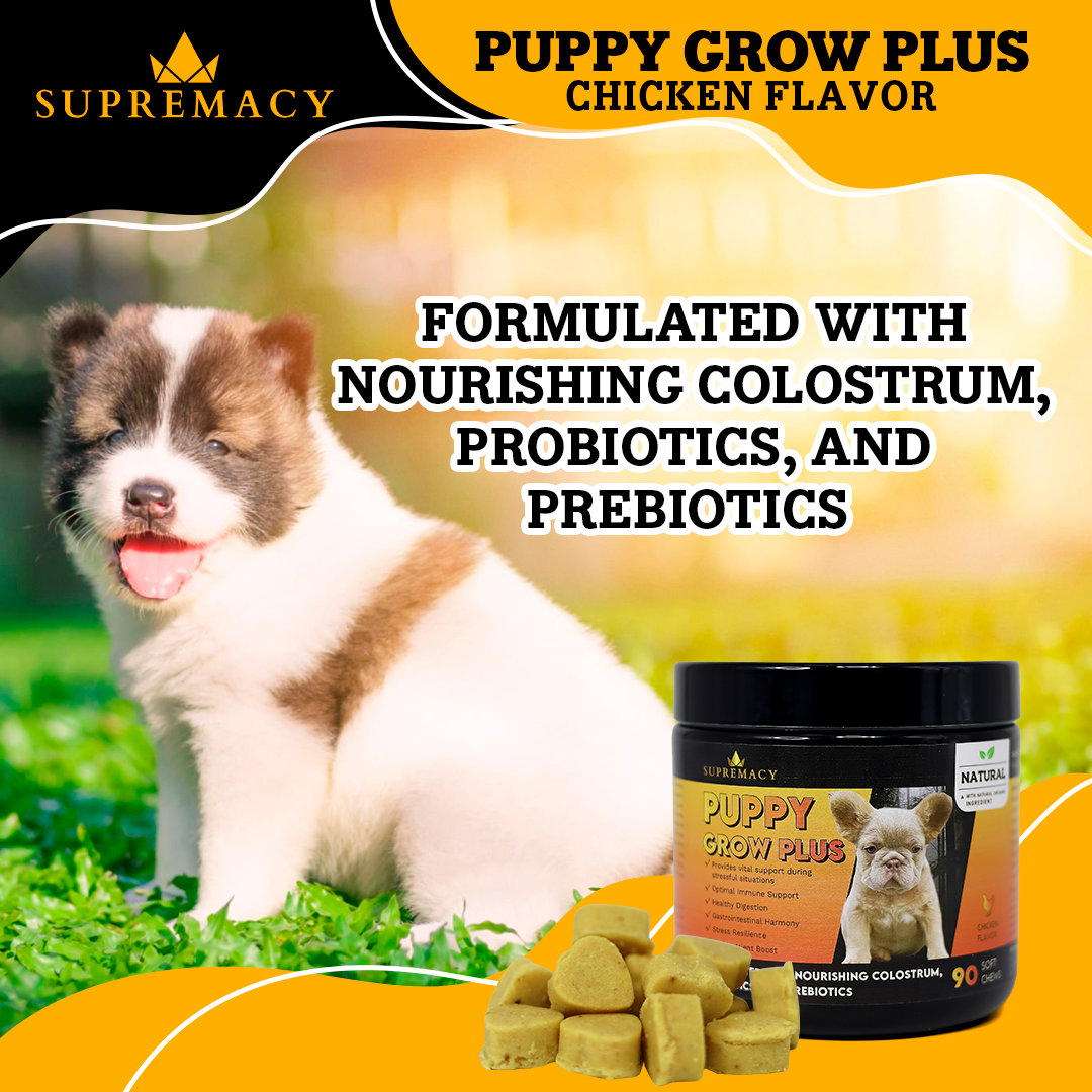 Supremacy Puppy Grow Plus Puppy & Dogs Treats Digestive Health Immune ...