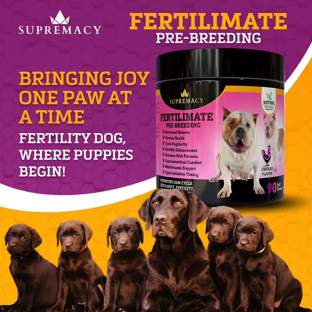 Supremacy Premium Treats & Supplements for Pre-breeding Dam Dogs ...