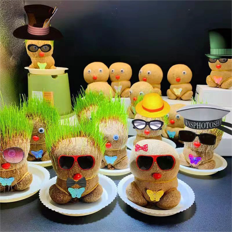 Grass Head Decor Children Growing Grass Doll Toys Office Table Plant ...