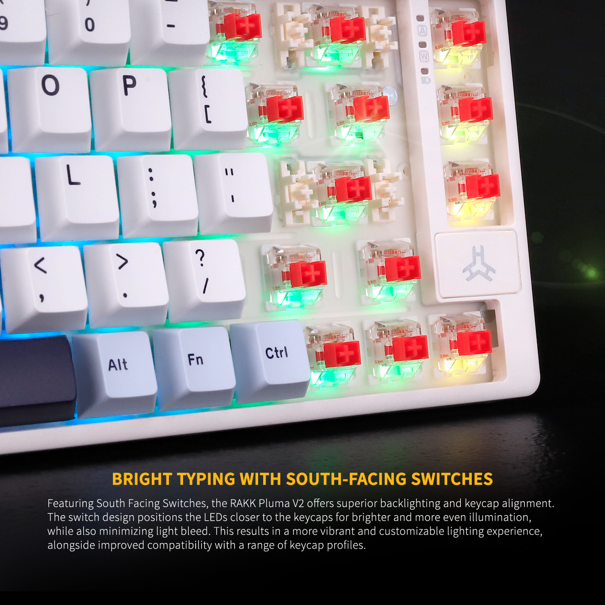 RAKK Pluma 68 and Pluma V2 57 keys Wireless Mechanical Keyboard | Tri ...