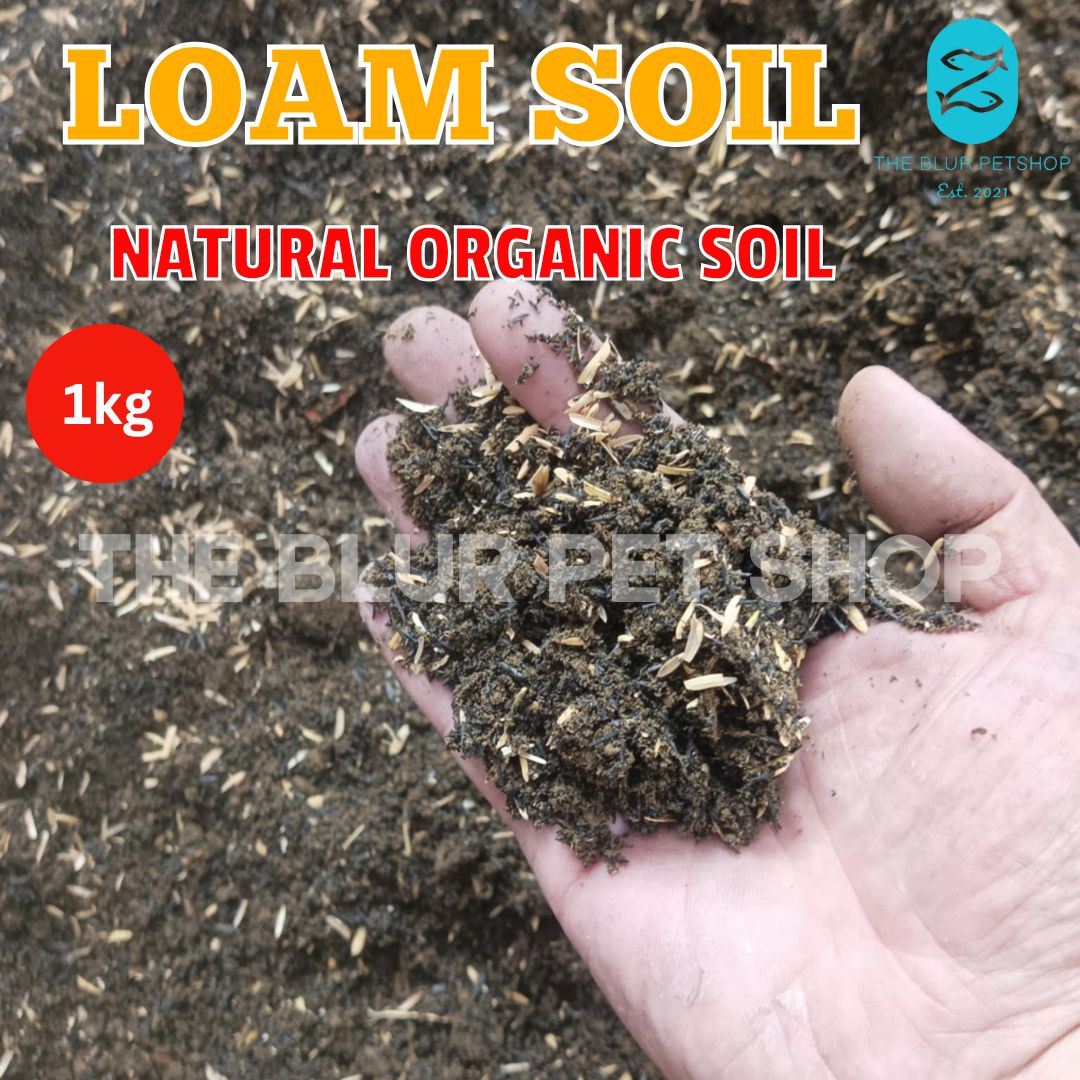 1kg Loam Soil Premium Organic Gardening Soil Farmer Choices Natural ...