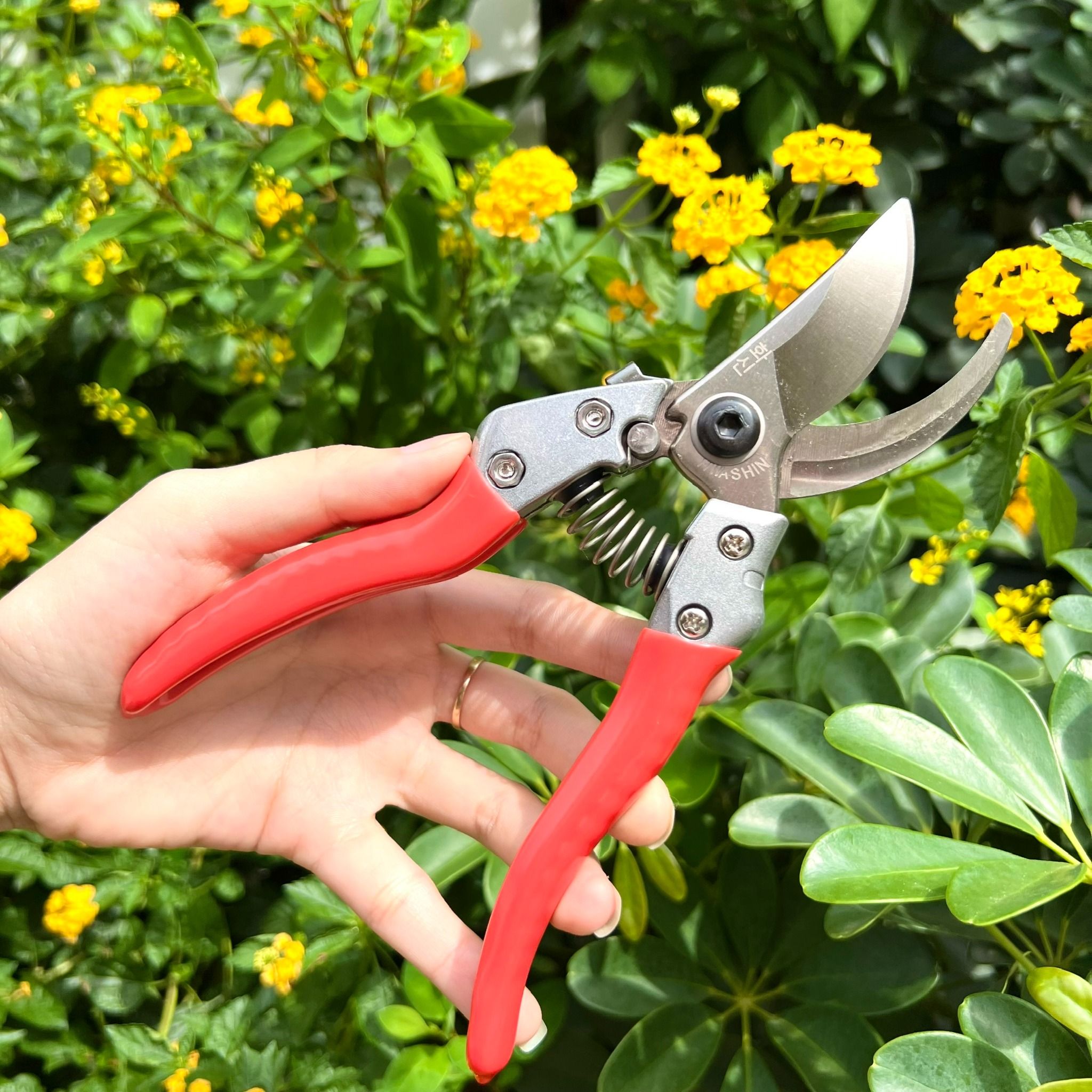Made in Japan SK-5 gardening import dedicated pruning shears pruning scissor pruning shears ...
