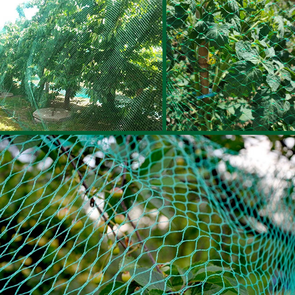 100M 50M 20M Chicken Net Fence Green Net Free Range Chicken Net ...