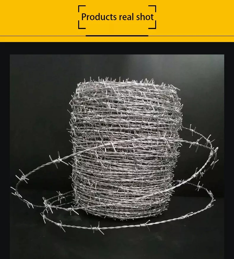 Galvanized Barbed Wire Roll 200/100 Meters – Iron Fence! Anti-Climb ...