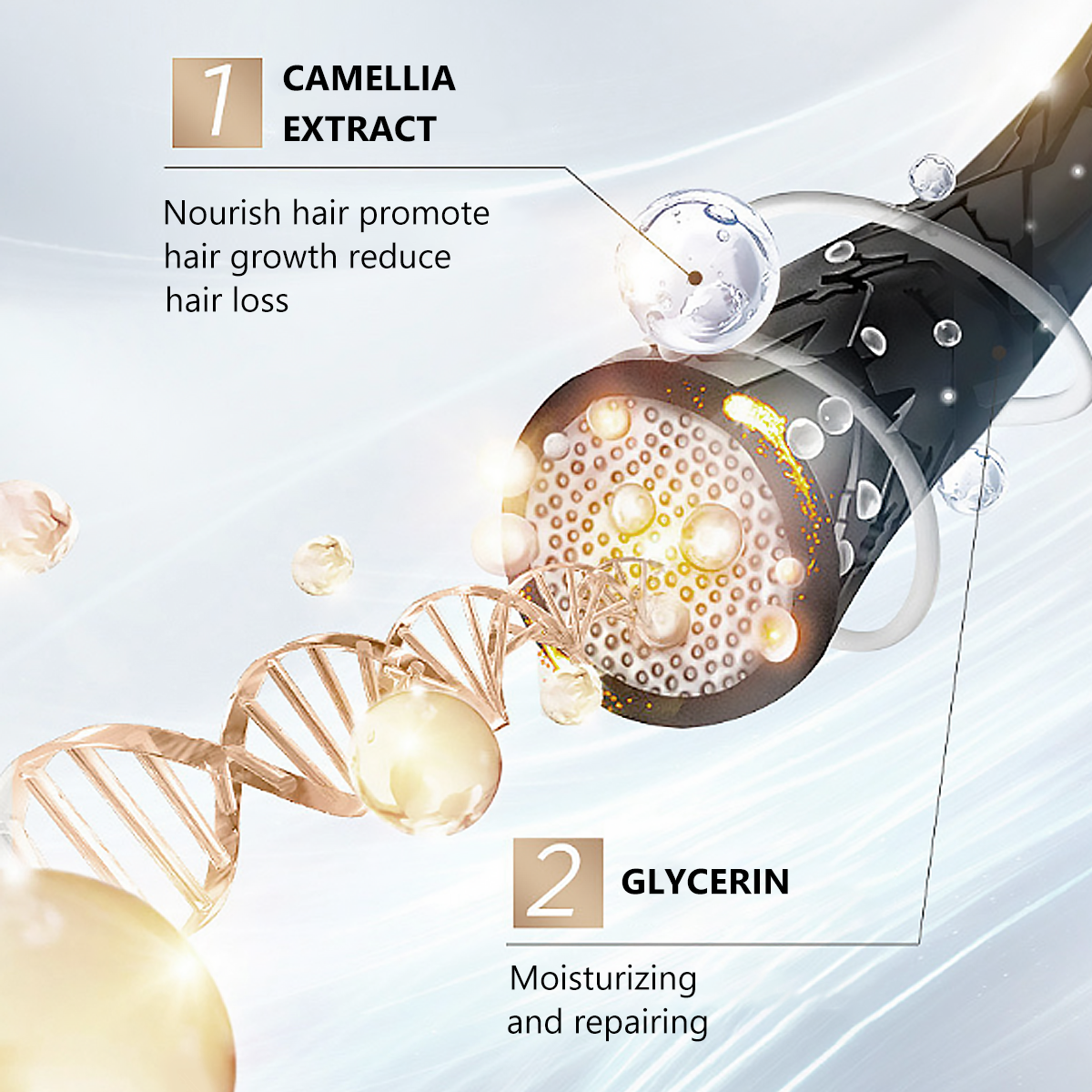 WORADA Shampoo and Conditioner Fast Regrowth Hair Thick Shampoo Anti Loss Oil Control 400ml ...