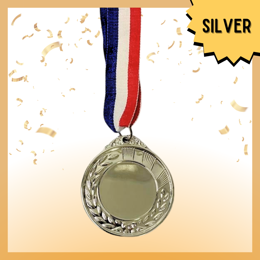 Plain Medal 6.5cm Gold/ Silver/ Bronze - Perfect for Awards and ...
