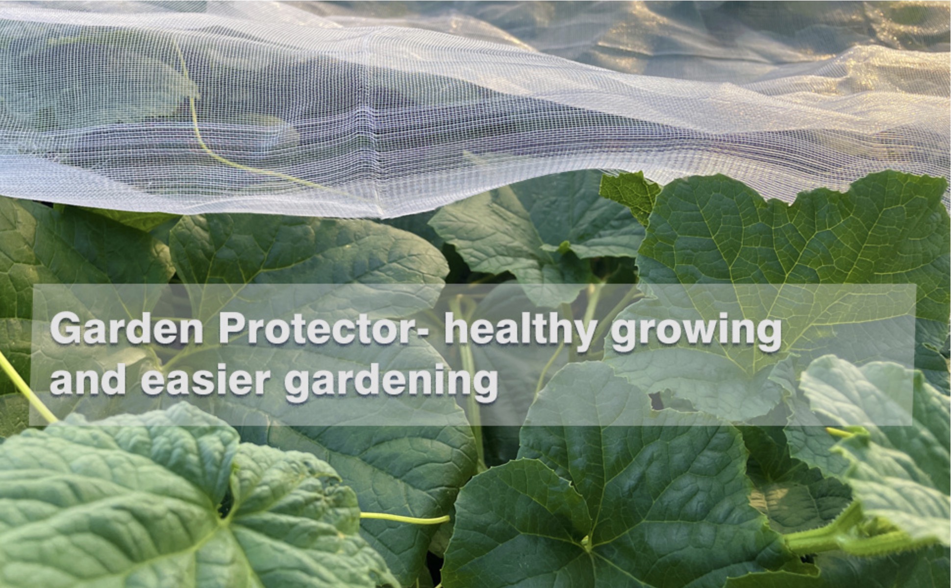 Thicken Garden net Insect net for greenhouse White Mosquito Net ...