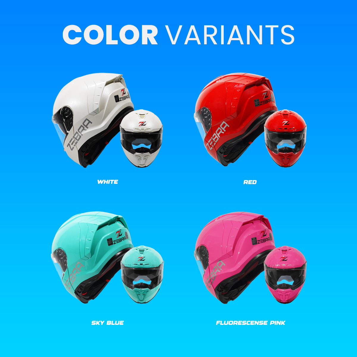 ZEBRA VALIDUS Modular Helmet Full Face Dual Visor Helmet motorcycle ...