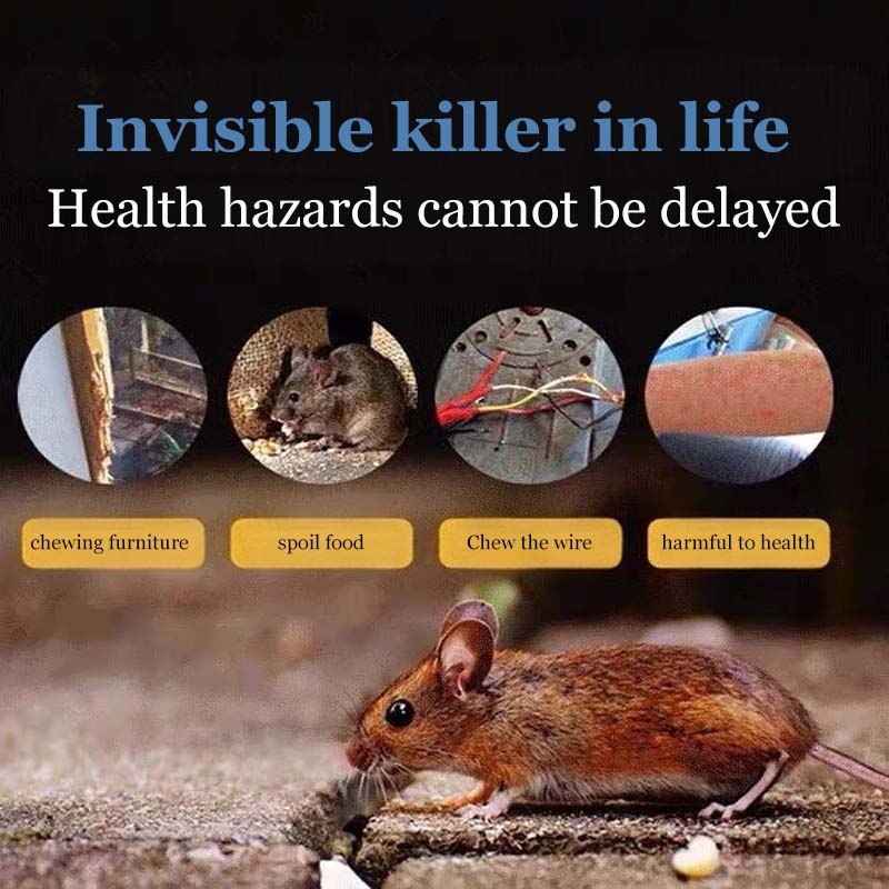 Don't die in the room Rat killer poison Rat lure that mice like to eat ...