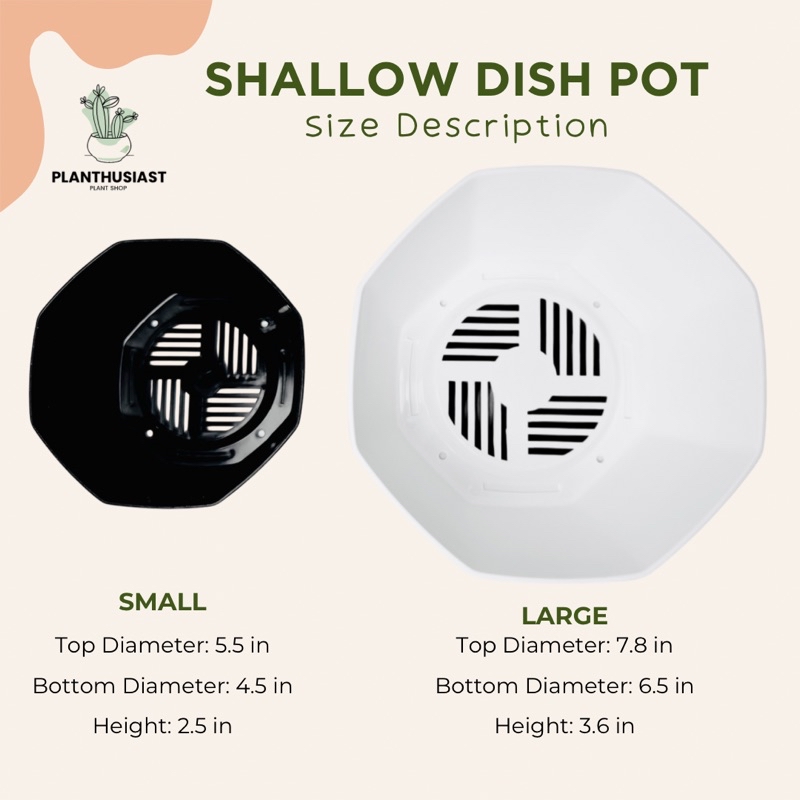3pcs Thick Shallow Dish Plant Plastic Pots | Basin for Cactus ...