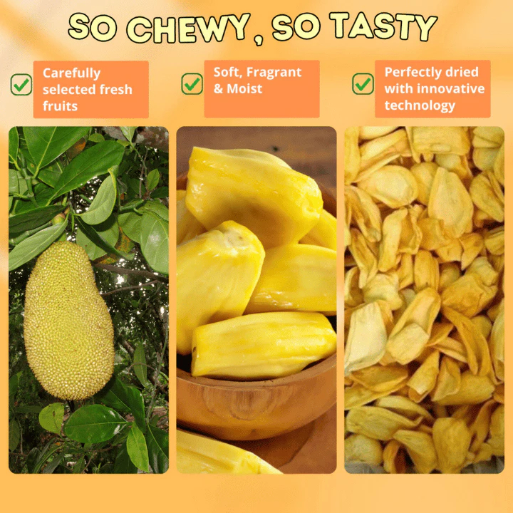 Philifruit DRIED JACKFRUIT DRIED LANGKA CHIPS | ORGANIC JACKFRUIT CHIPS ...