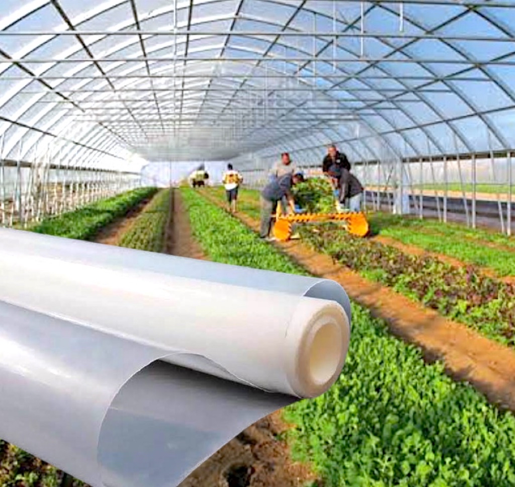 UV Plastic Sheet 200microns (8mil) 10ft wide | Greenhouse roofing ...