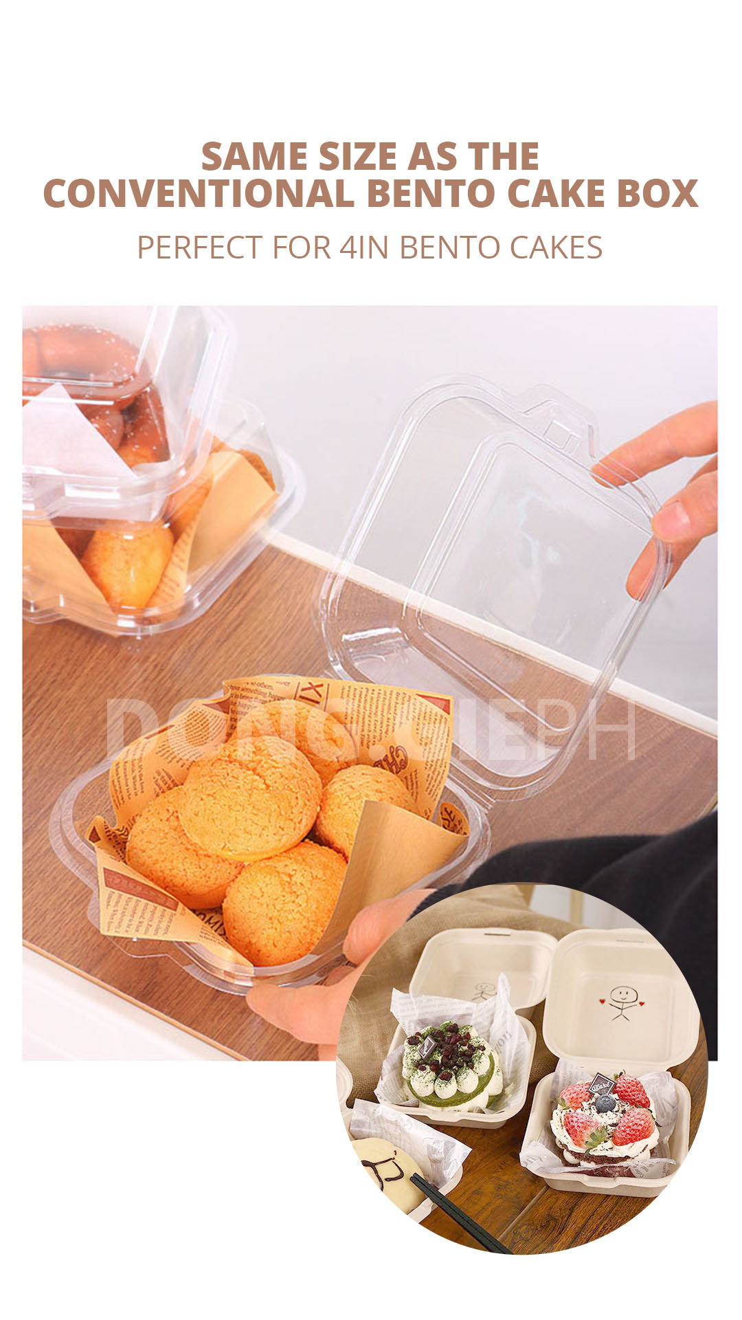 [10 PCS] 450 ML Clear Plastic Bento Cake Box Container | Shopee Philippines