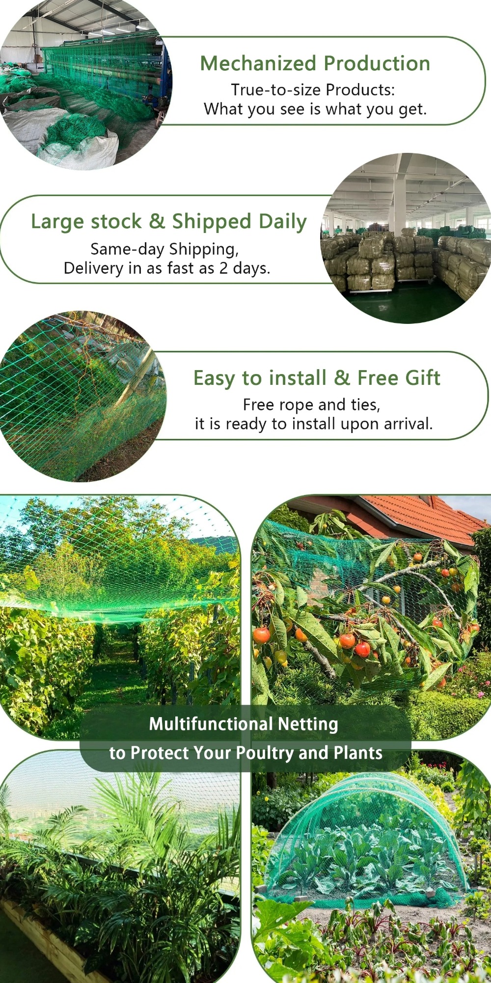 Free Rope Net for Chicken Net 50M/100M Fish Net for Fishing Net Lambat ...