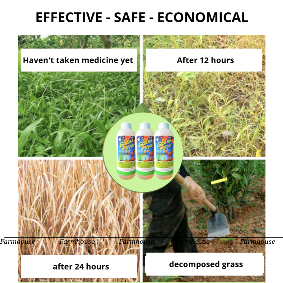 Grass Zero Herbicide 500ml – Eliminates Tough Weeds, Safe for Corn ...