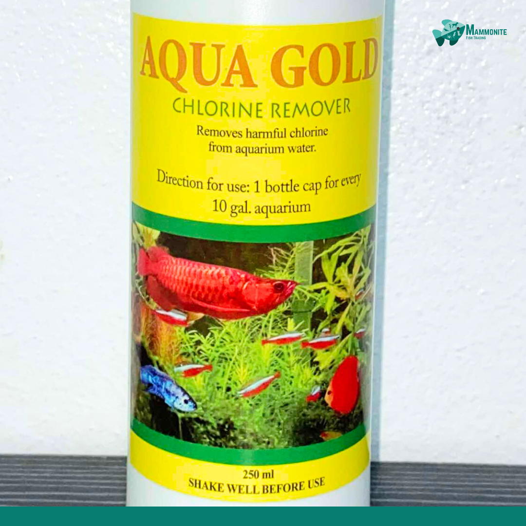 Aqua Gold Chlorine Remover Anti-Chlorine Dechlorinator Removes Harmful ...