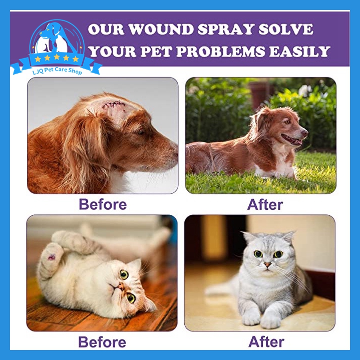 【Buy 1 take 1】Pet Skin Treatment for dogs Galis Ng Aso Gamot Dog Skin ...