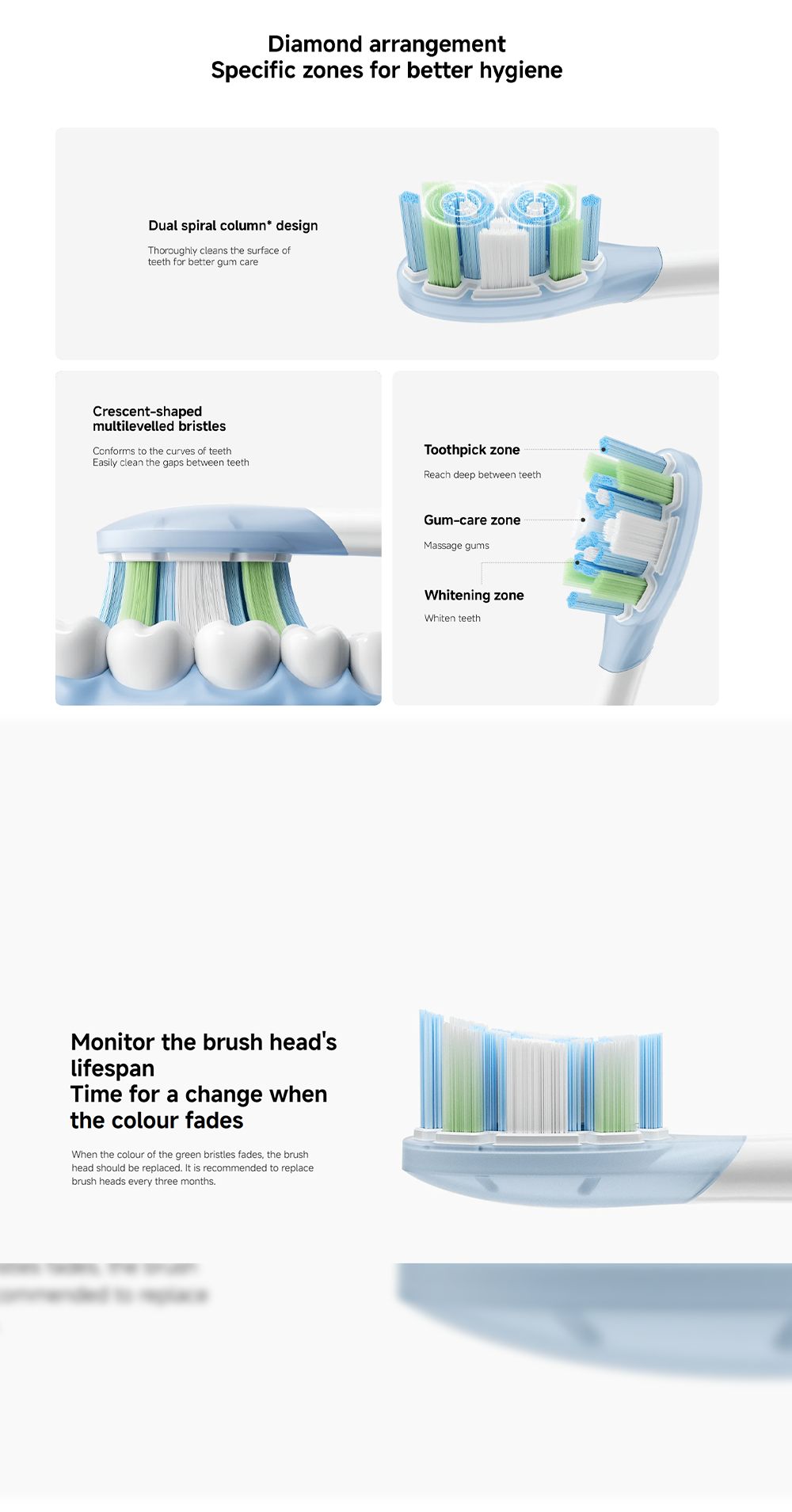 Xiaomi Oscillation Electric Toothbrush Replacement Heads (Clean) | Shopee Philippines