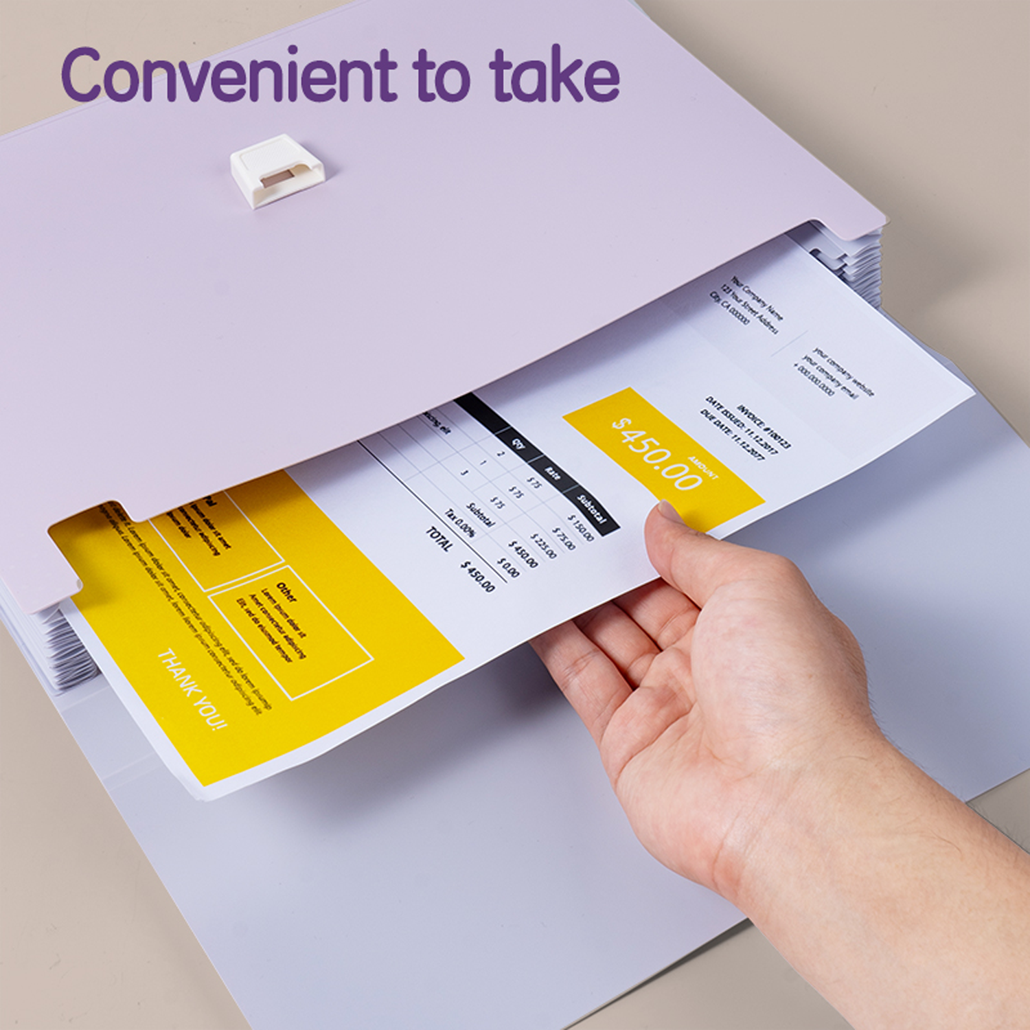 Deli F613 Expanding File A4 13 Pockets | Shopee Philippines