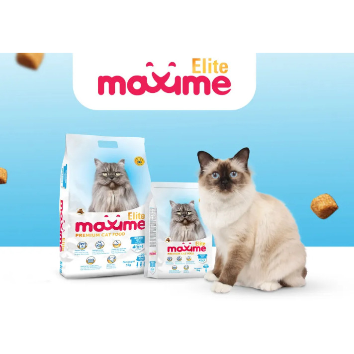 Maxime Elite for Indoor 1kg Adults For Hairball Control & Urinary Care ...