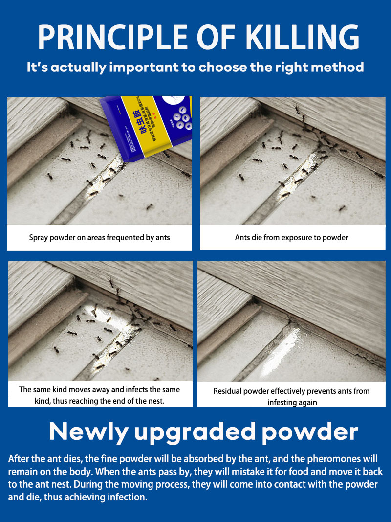 Organic Ant Spray Killer 500ML Ant Killer Spray Odorless From Japan ...