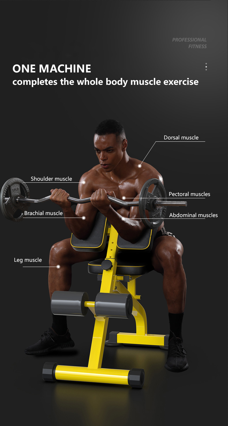 DONIUZ Dumbbell Bench Roman Chair Back Hyperextension Foldable ...