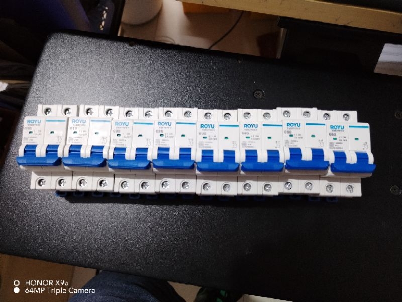 Royu MCB 2pole 10A - 125A | Shopee Philippines