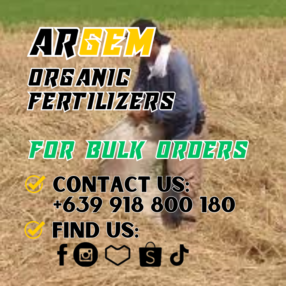 ARGEM Dayami ng Palay at Coco Fiber Coir - for Chicken, Nest, Bedding ...