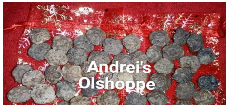 Rosa mistika/Gumamela celis (1pcs)Kasama na orasyon at dasal/Talandro ...