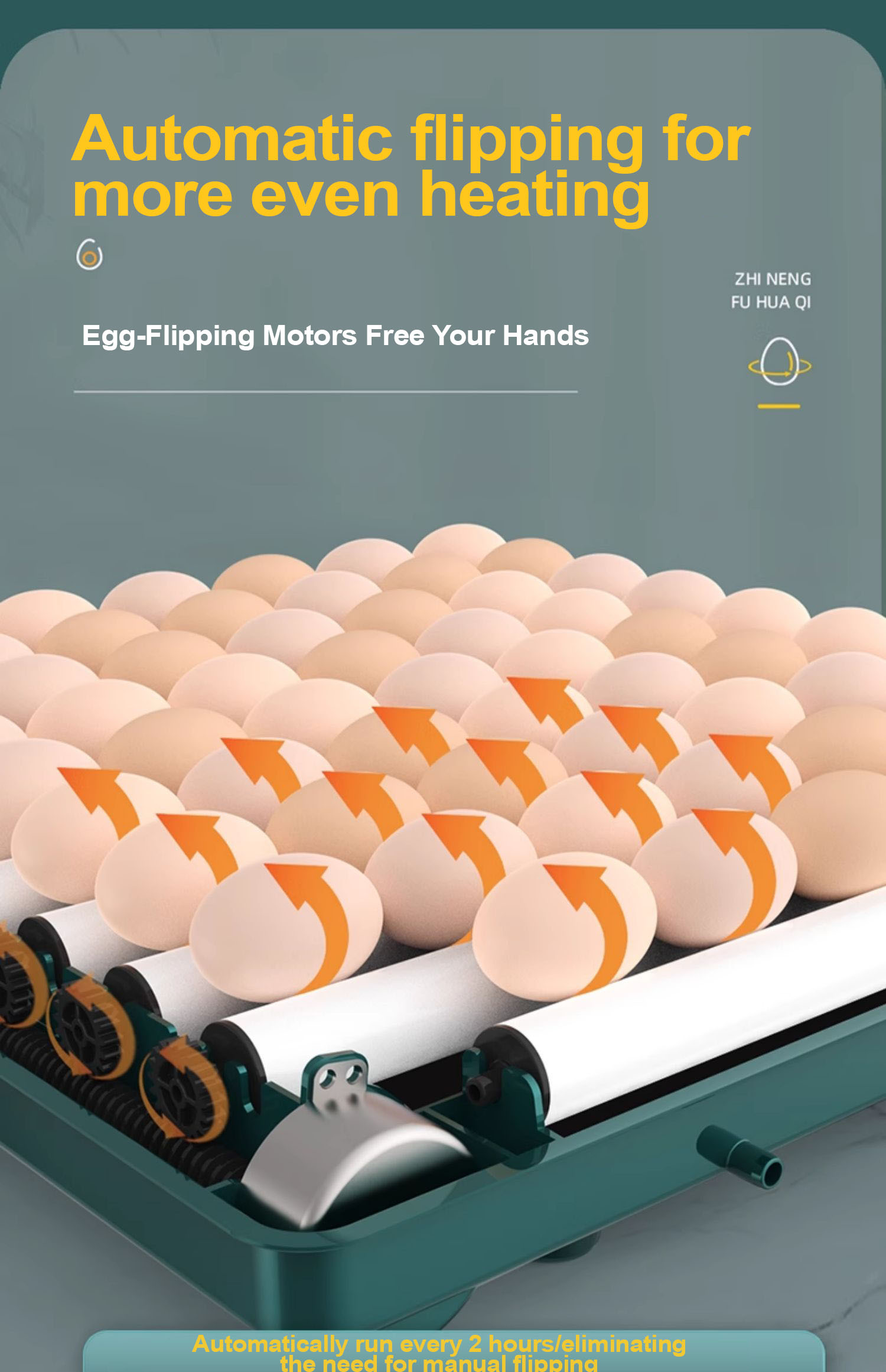 130 Egg Incubator 220V/12V Dual Power Digital Constant Temperature ...