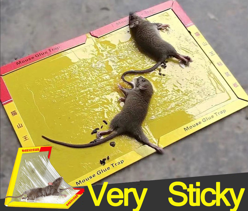 【Ship From Manila】Rat & Mouse Sticky Mice Rodent Glue Board Bait Trap ...