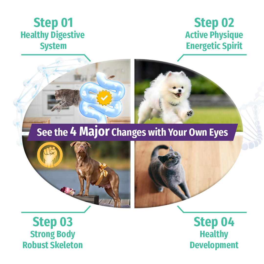 Hegen Pet Goats Milk Powder For Nutrition Supplement Appetite Booster ...