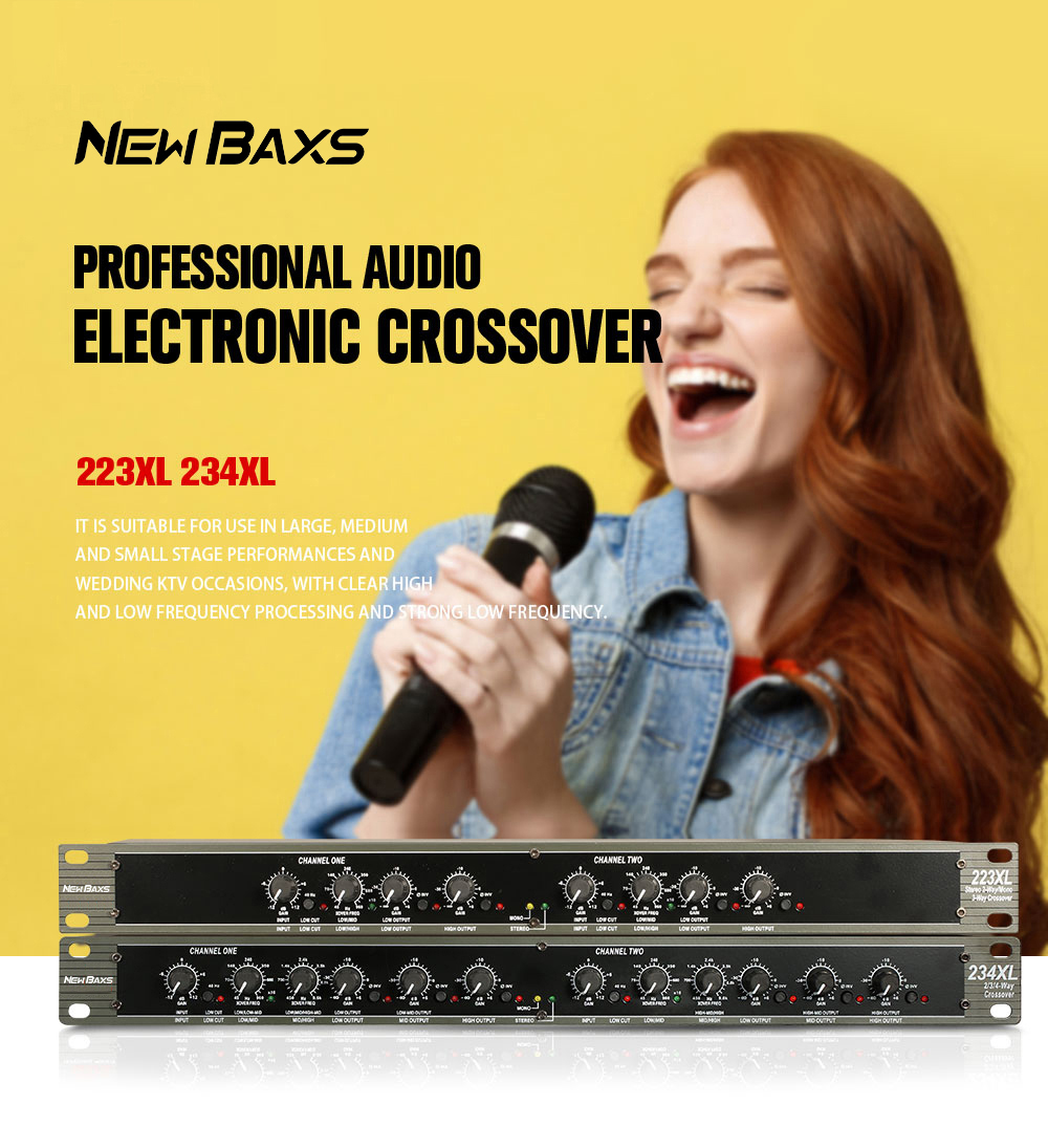 NEW BAXS 223XL/234XL Crossover 2/3 frequency independent control ...