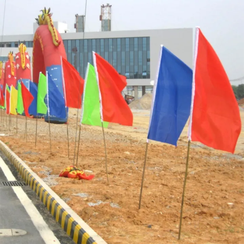 10Pcs Color Guard Flag Colour Flag 5 Color Vertical Colored Decorative ...