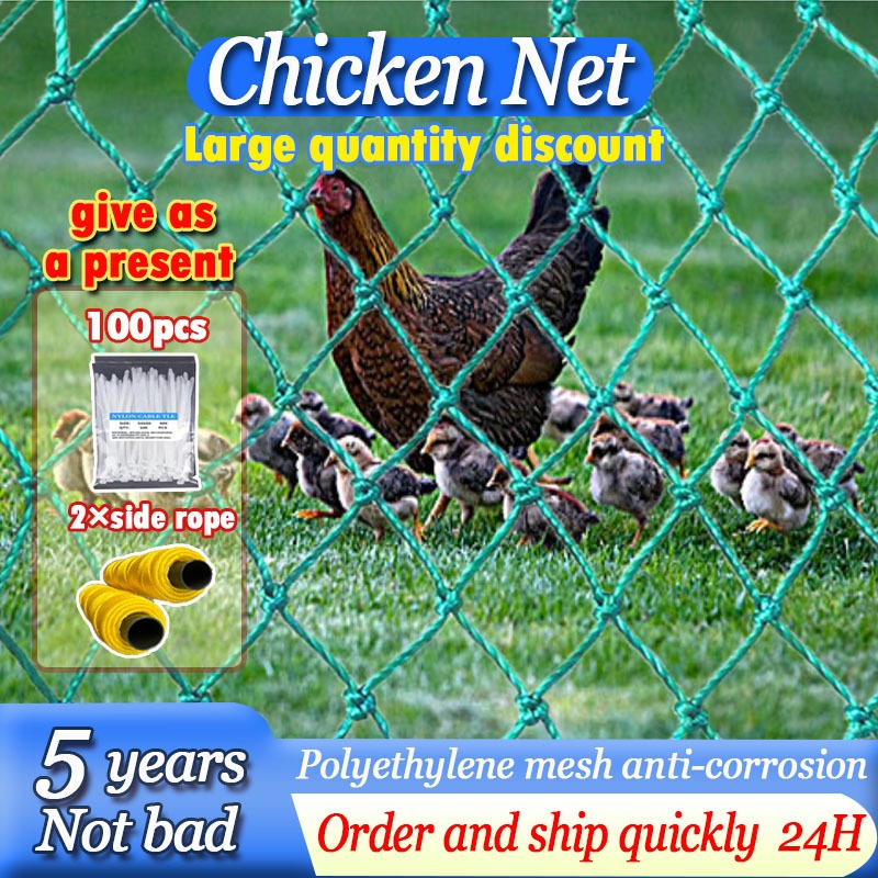 Free Rope Chicken Net 20m/50m/100m 7ft Fishing Net Range Net Lambat ...