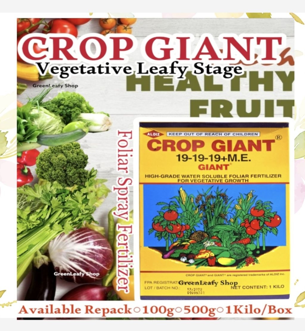 CROP GIANT VEGETATIVE STAGE FOR FAST GROWING VEGETABLES AND FRUITS ...