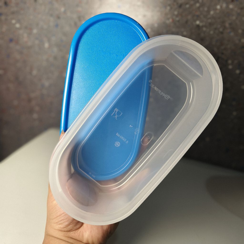 Tupperware Oval Smart Saver (sold per piece) | Shopee Philippines