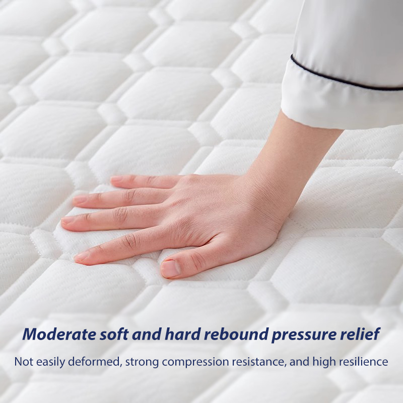 10inch Thickening 3D Composite Latex Mattress Spring Deluxe Memory ...