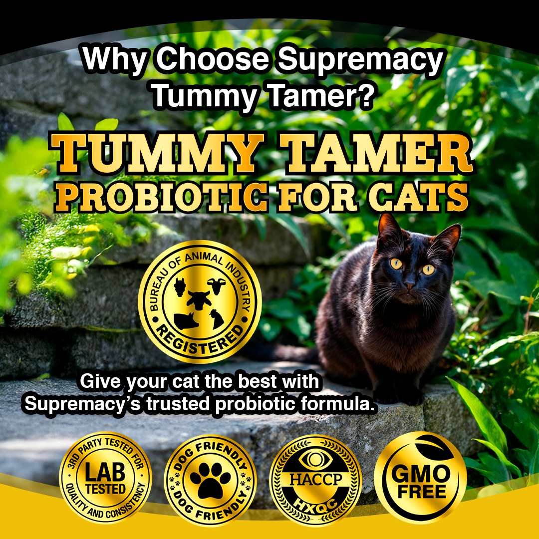 Supremacy Tummy Tamer Probiotics for Cats Treats, Holistic Wellness ...
