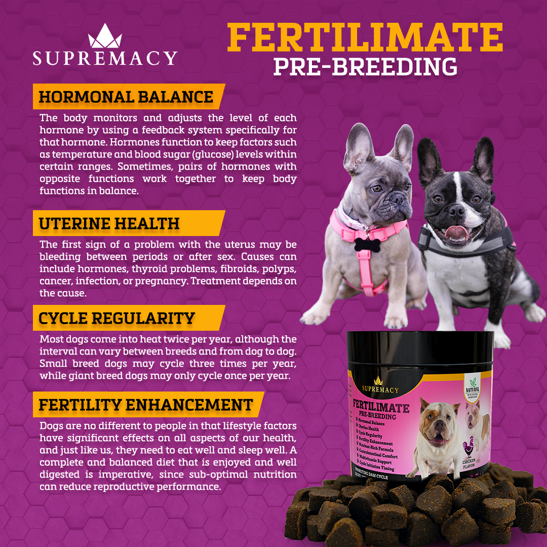 Supremacy Premium Treats & Supplements for Pre-breeding Dam Dogs ...
