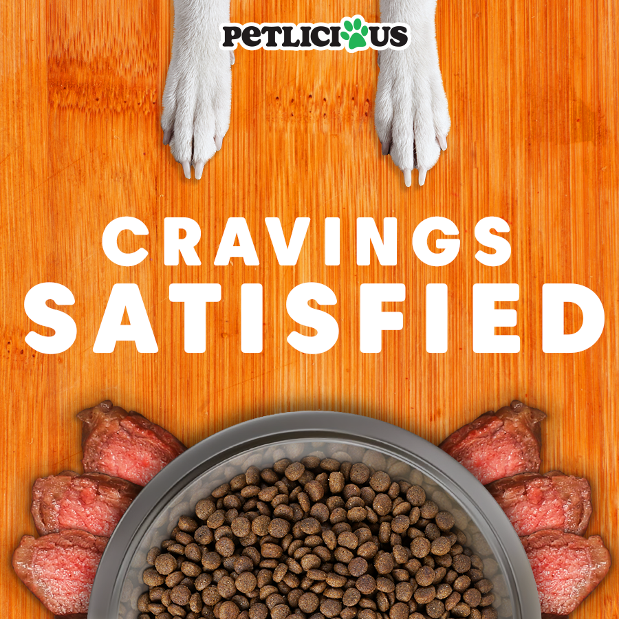 Petlicious Dog Dry Food Beef Flavor 1kg - PetMate | Shopee Philippines